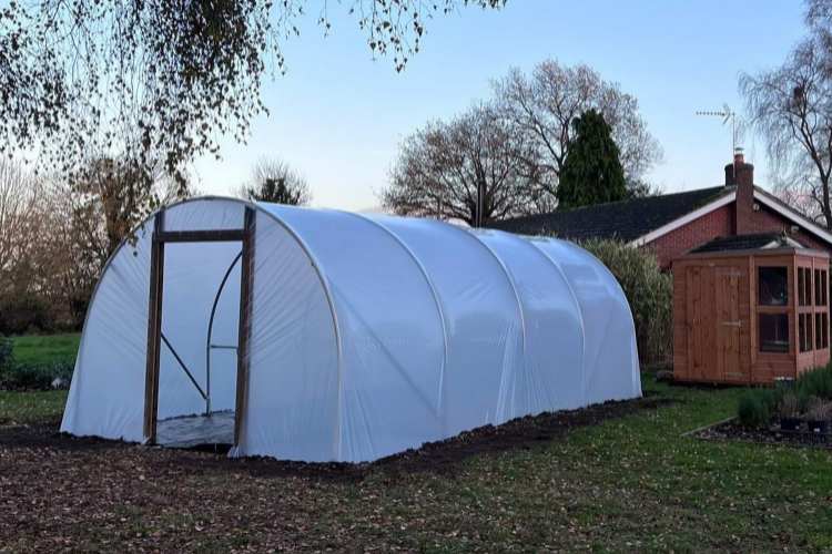 Polytunnels: The Allotment Holder’s Secret Weapon - Direct Plants