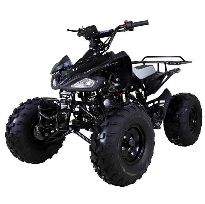 New Taotao Cheetah 125cc Assembled Available at -Arlington Powersports