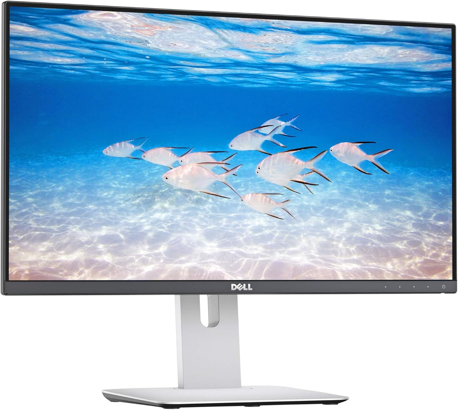 Refurbished Monitors | Cheap Computer Monitors | Recompute