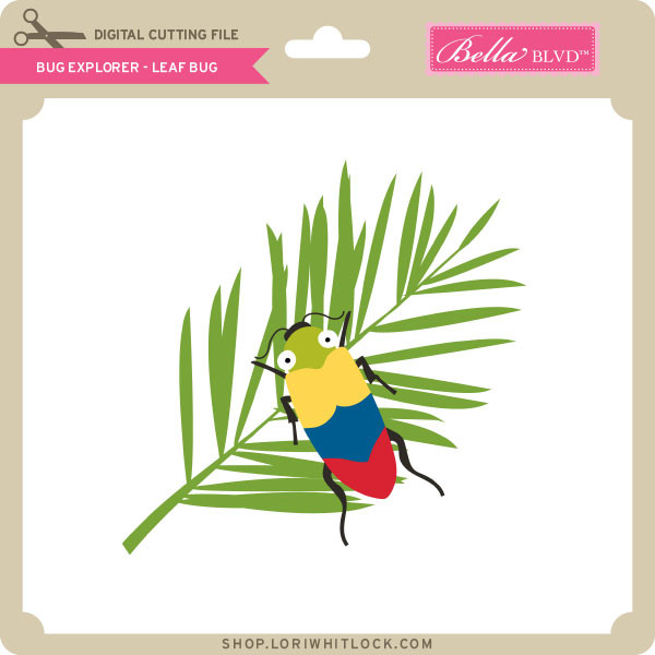 Bug Explorer 2 - Leafbug - Lori Whitlock's SVG Shop