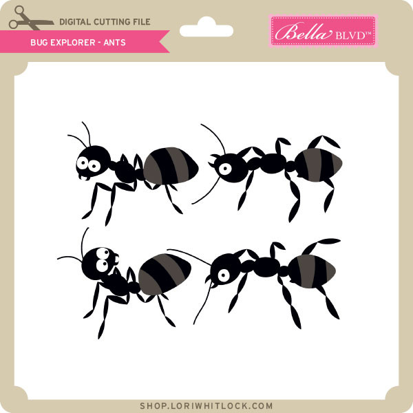 Bug Explorer 2 - Ants - Lori Whitlock's SVG Shop