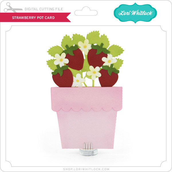 Flower Pot Card Kit - Lori Whitlock's SVG Shop