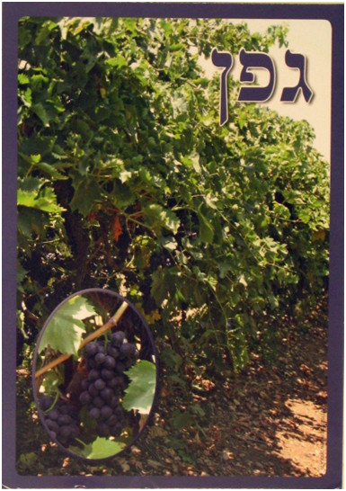 Shivat HaMinim שבעת המינים Seven Species Mini Poster Set by Miriam ...