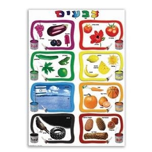Colors in Hebrew Chart - Large Jewish Classroom Poster | Great Pricing ...