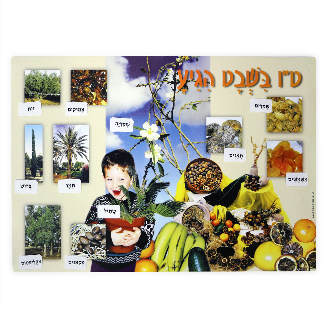 Tu B'Shvat Large Interactive Plastic Poster | at the "Jewish School ...