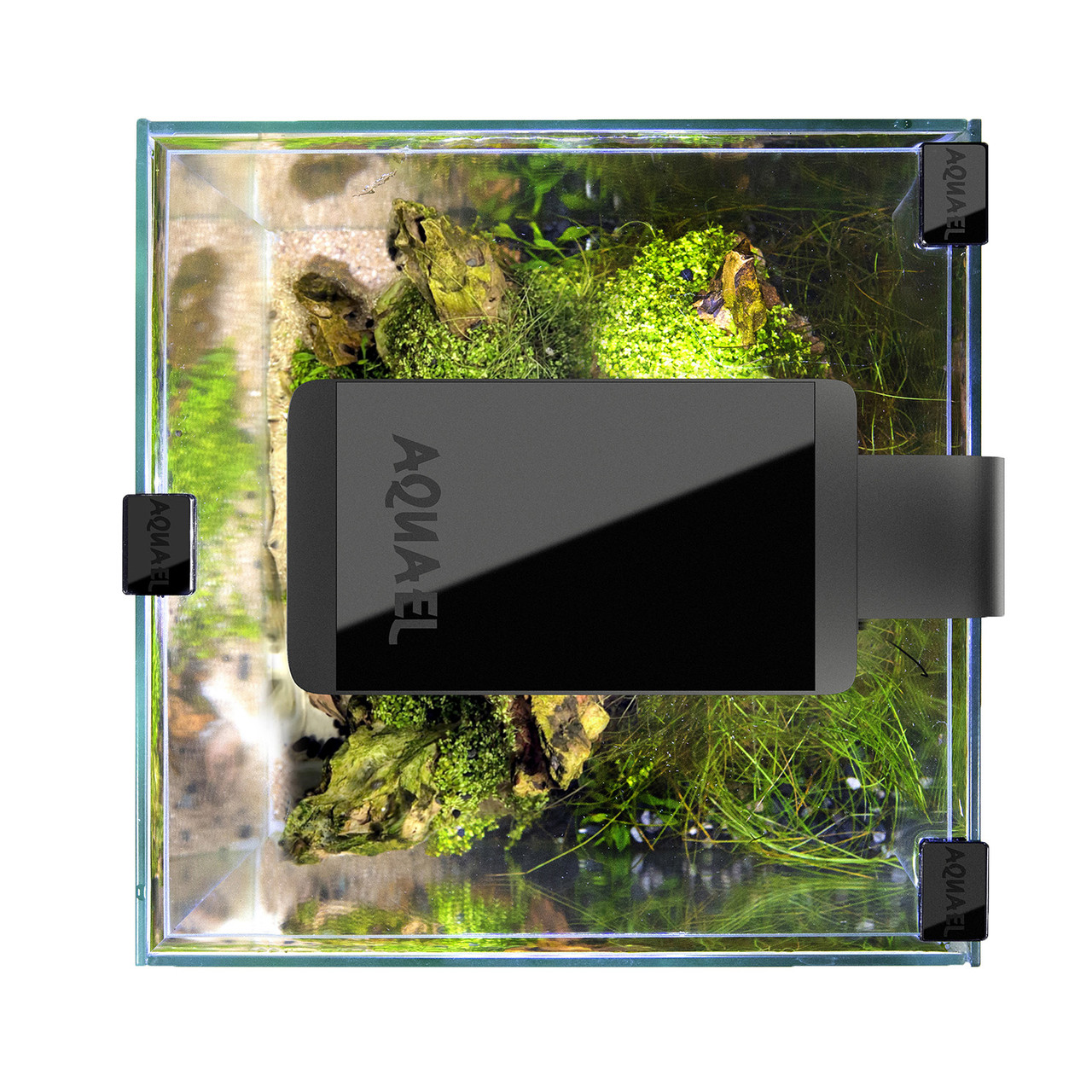 Complete Shrimp Aquarium Kit - 2.6 Gallons