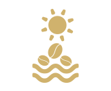 Surrender - Christopher Bean Coffee