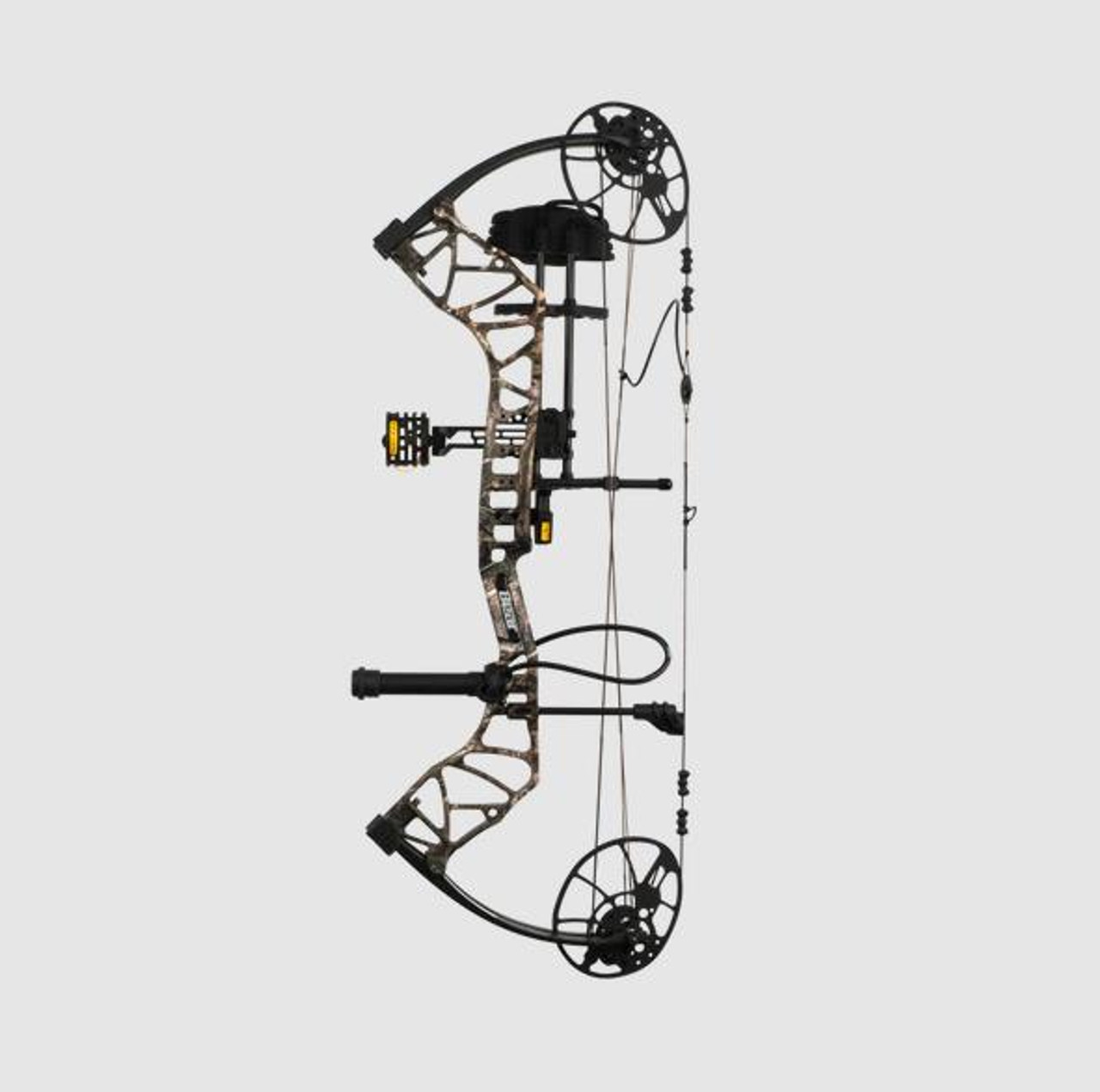 Bear Legit Mossy Oak Country Dna Springhill Outfitters