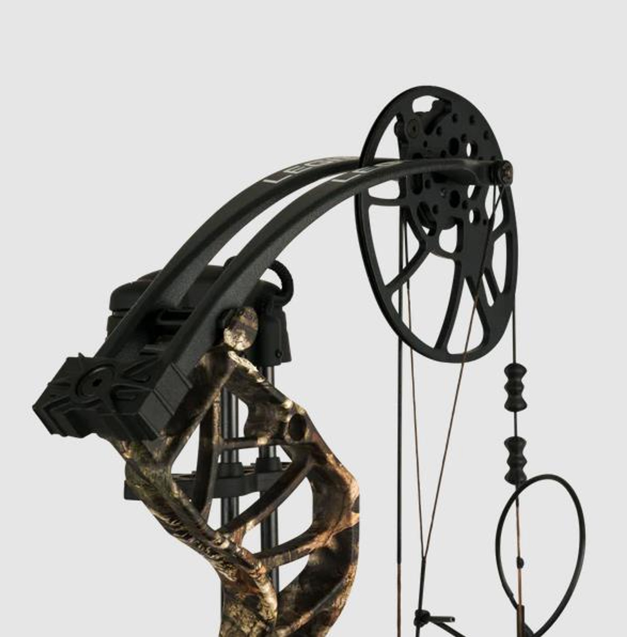 Bear Legit Mossy Oak Country Dna Springhill Outfitters