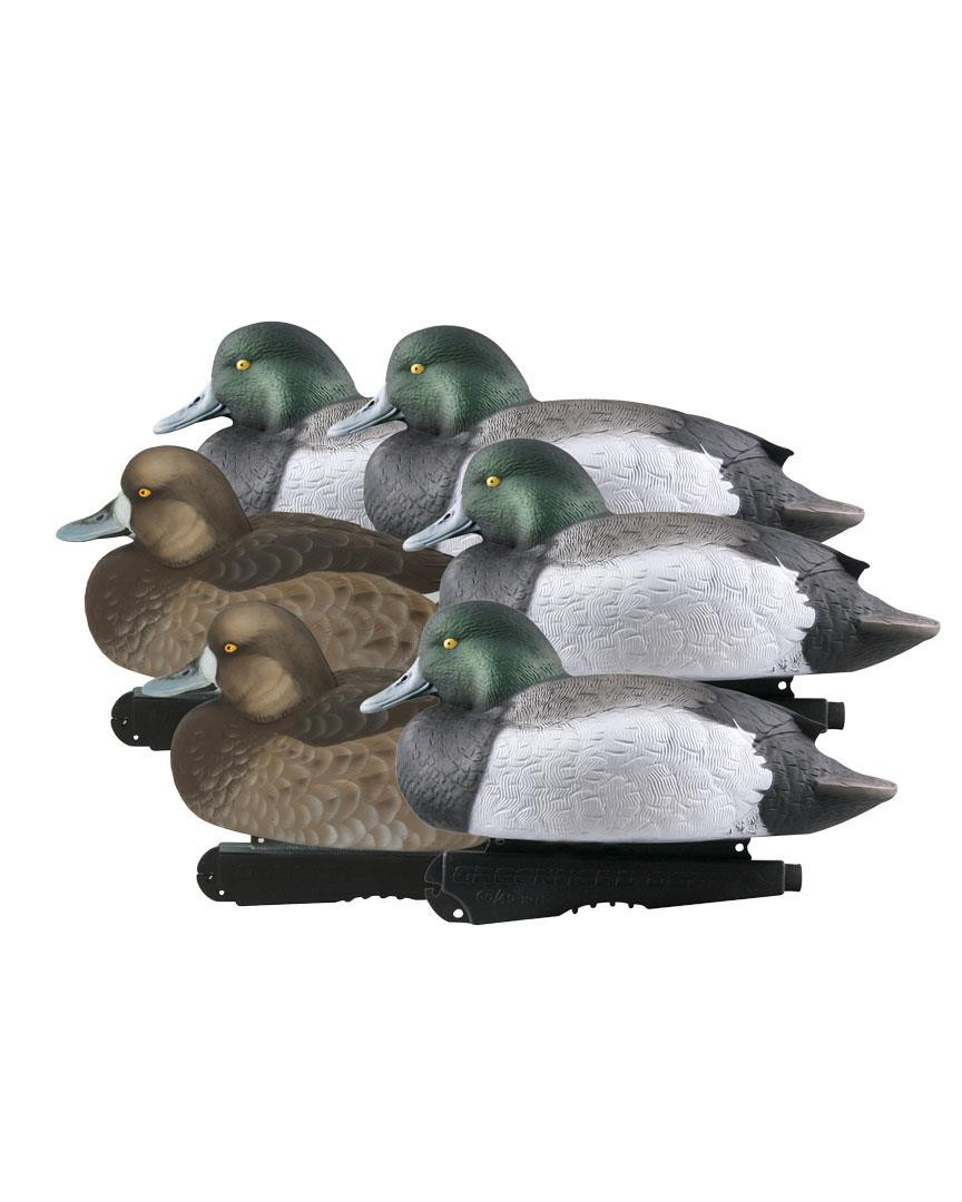 Hunter Series Over Size Blue Bill -Foam Filled 6pk - Springhill Outfitters