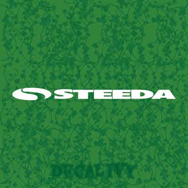 Steeda V2 Decal Vinyl Sticker - Decal Ivy
