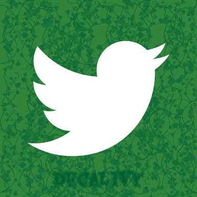Twitter Logo Decal Vinyl Sticker - Decal Ivy