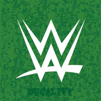 WWE Logo Decal Vinyl Sticker - Decal Ivy