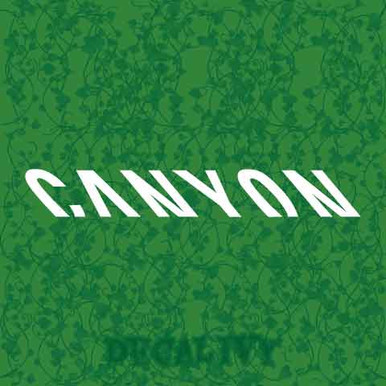 Canyon Cycles Decal Vinyl Sticker - Decal Ivy