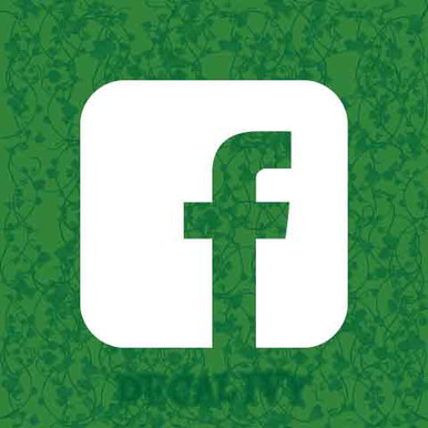 Facebook Logo Decal Vinyl Sticker - Decal Ivy