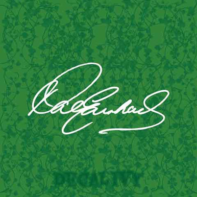 Dale Earnhardt Signature Decal Vinyl Sticker - Decal Ivy