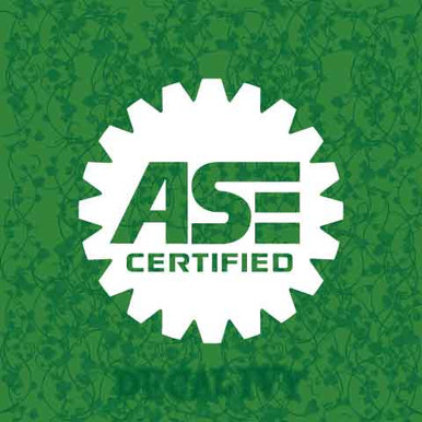 ASE Certified Decal Vinyl Sticker - Decal Ivy