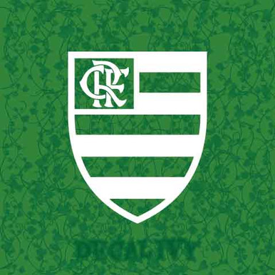 CR Flamengo Decal Vinyl Sticker - Decal Ivy