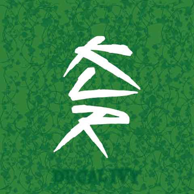 Kawasaki KLR 650 Decal Vinyl Sticker - Decal Ivy