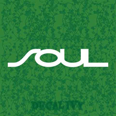 Kia Soul Decal Vinyl Sticker - Decal Ivy