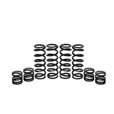 General 1000 4 Stage 1 Spring Kit | Zbroz Racing K25-PL1010-0-SSS