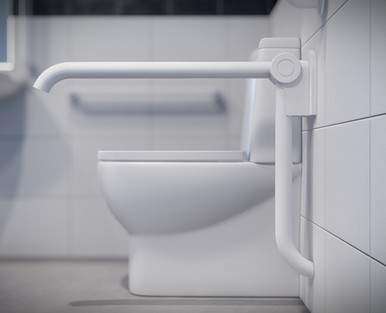 Wall Mounted Premium Hinged Grab Rail (750) | BOYCO