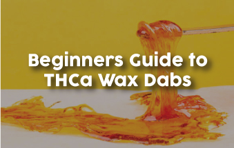 Beginners Guide to THCA Wax Dabs - SereneTree