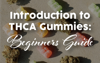 Introduction To THCA Gummies: A Beginners Guide - SereneTree
