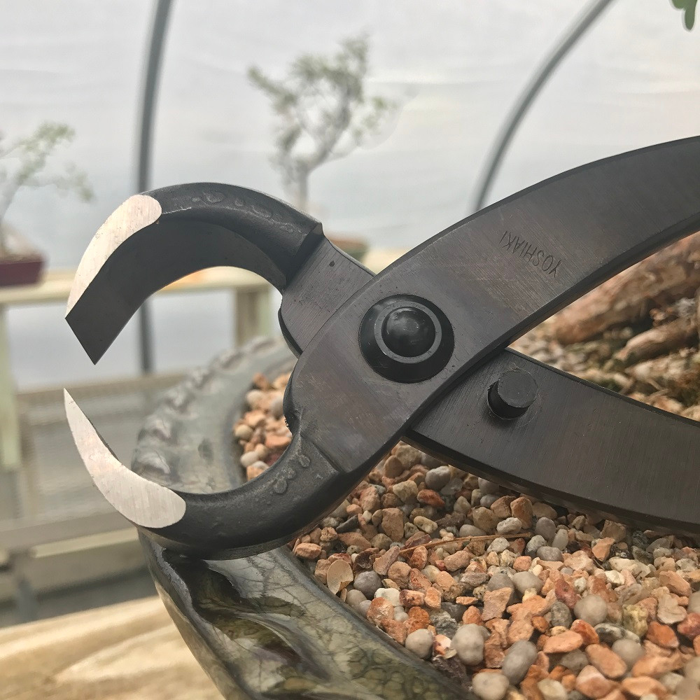 Larger Yoshiaki Bonsai Root Pruners | New England Bonsai gardens