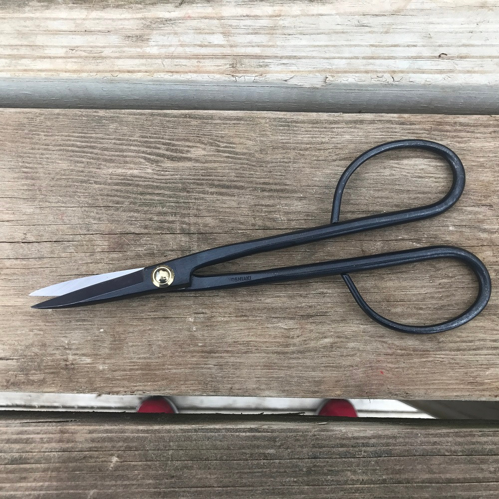 Kaneshin No 36b Bonsai Shears at New England Bonsai Gardens
