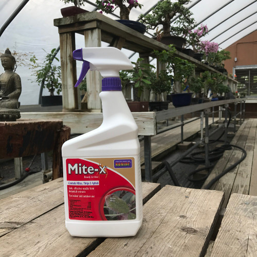 Mite-x Ready To Use Spray | New England Bonsai Gardens