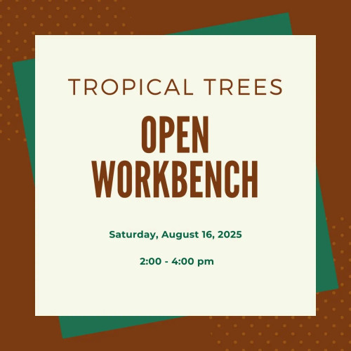 Open Workbench for Tropical Bonsai ONLY (May 18, 2024)