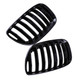 Front Kidney Grill Mesh Grille Fit BMW X5 E53 2004-2006 C Generic ...