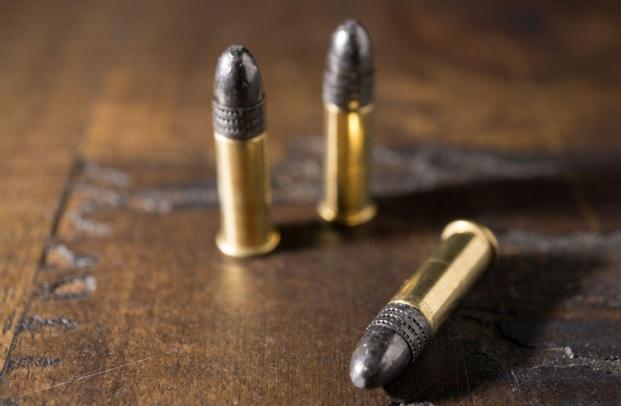 Every Single Thing We Love About .22LR (and You Should Too) - Bucking ...