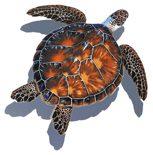 Blue Turtle (with shadow) Porcelain Mosaic.