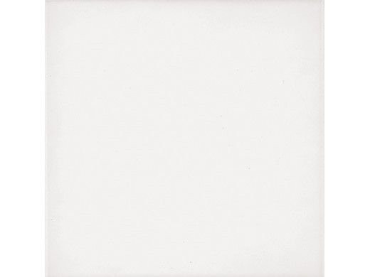 National Pool Tile 2" x 6" Solids Mud Cap Black Non Skid