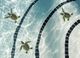 Baby Turtle A-Brown Porcelain By DG Pool Supply