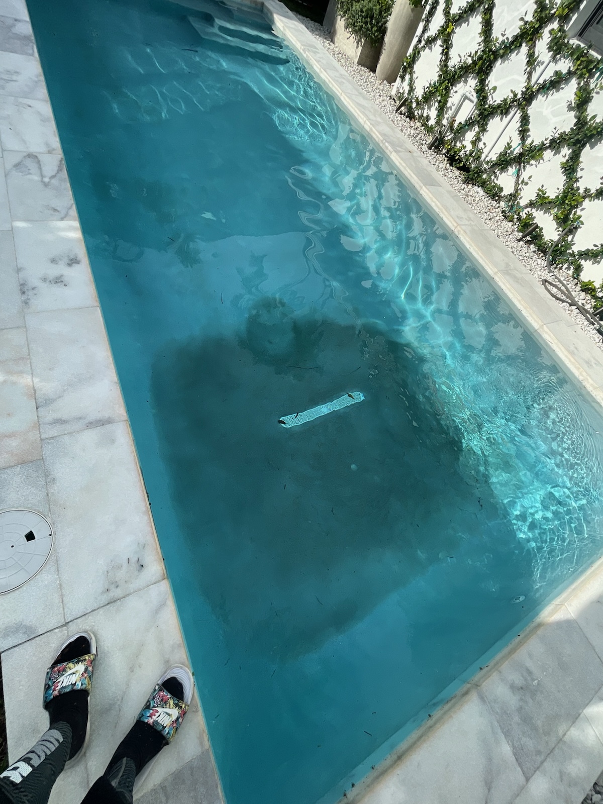 Pool Mottling............................ - DG Pool Supply