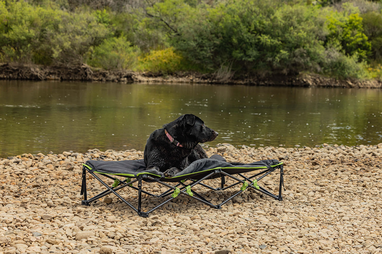 Quick Fold Dog Bed with Padded Mat (XL) - Iron Rigs 4x4