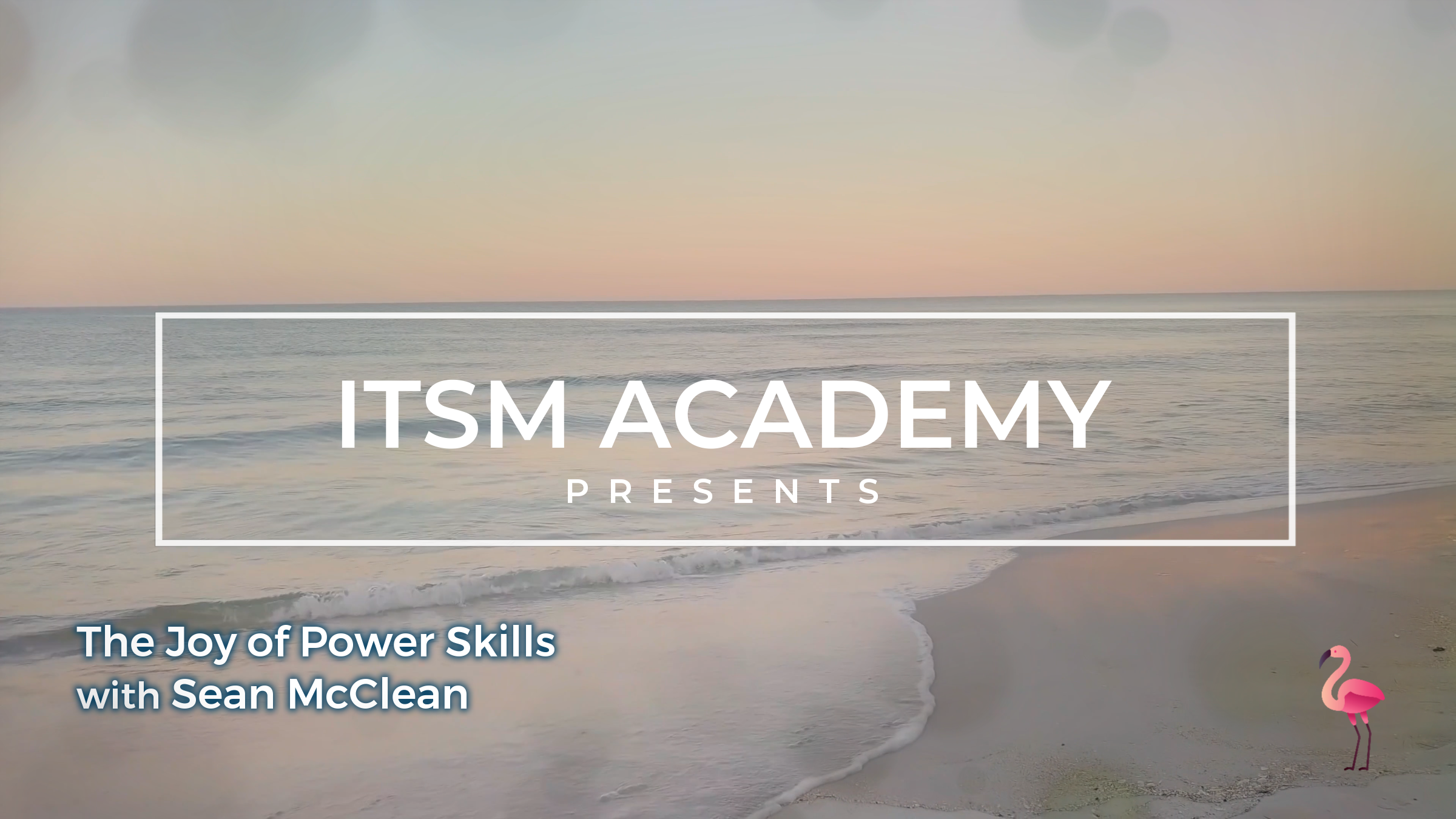 The Joy of Power Skills - ITSM Academy