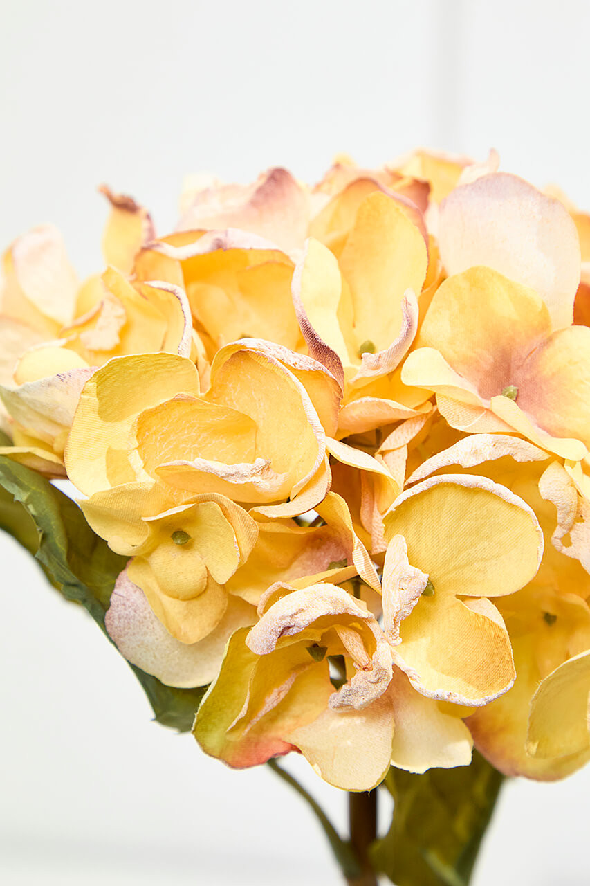 22" Dried Grand Hydrangea Stem - Yellow - Decorator's Warehouse
