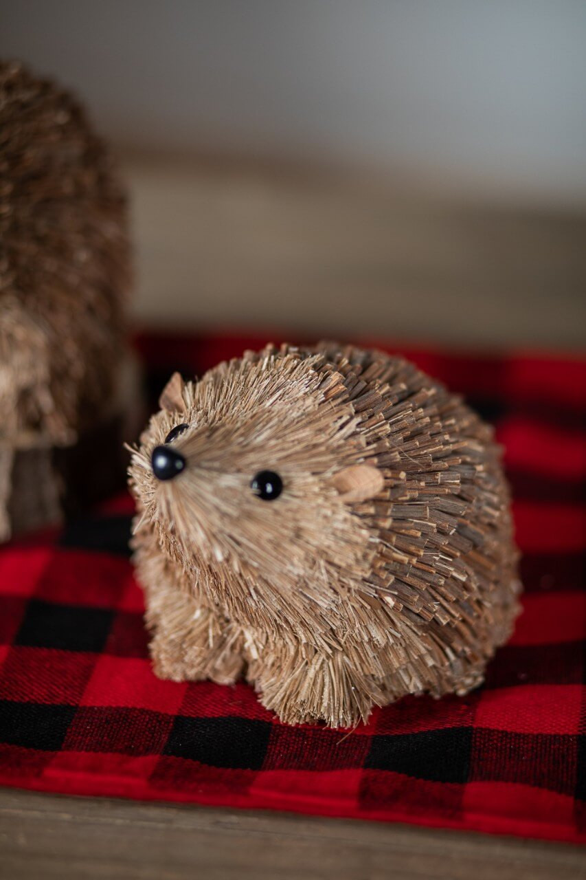 hedgehog straw