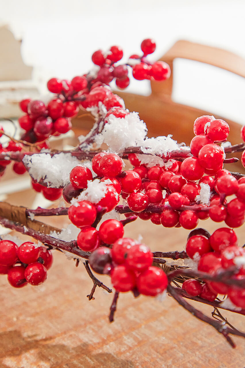 24” Red Berry Twig with Snow Spray - Decorator's Warehouse