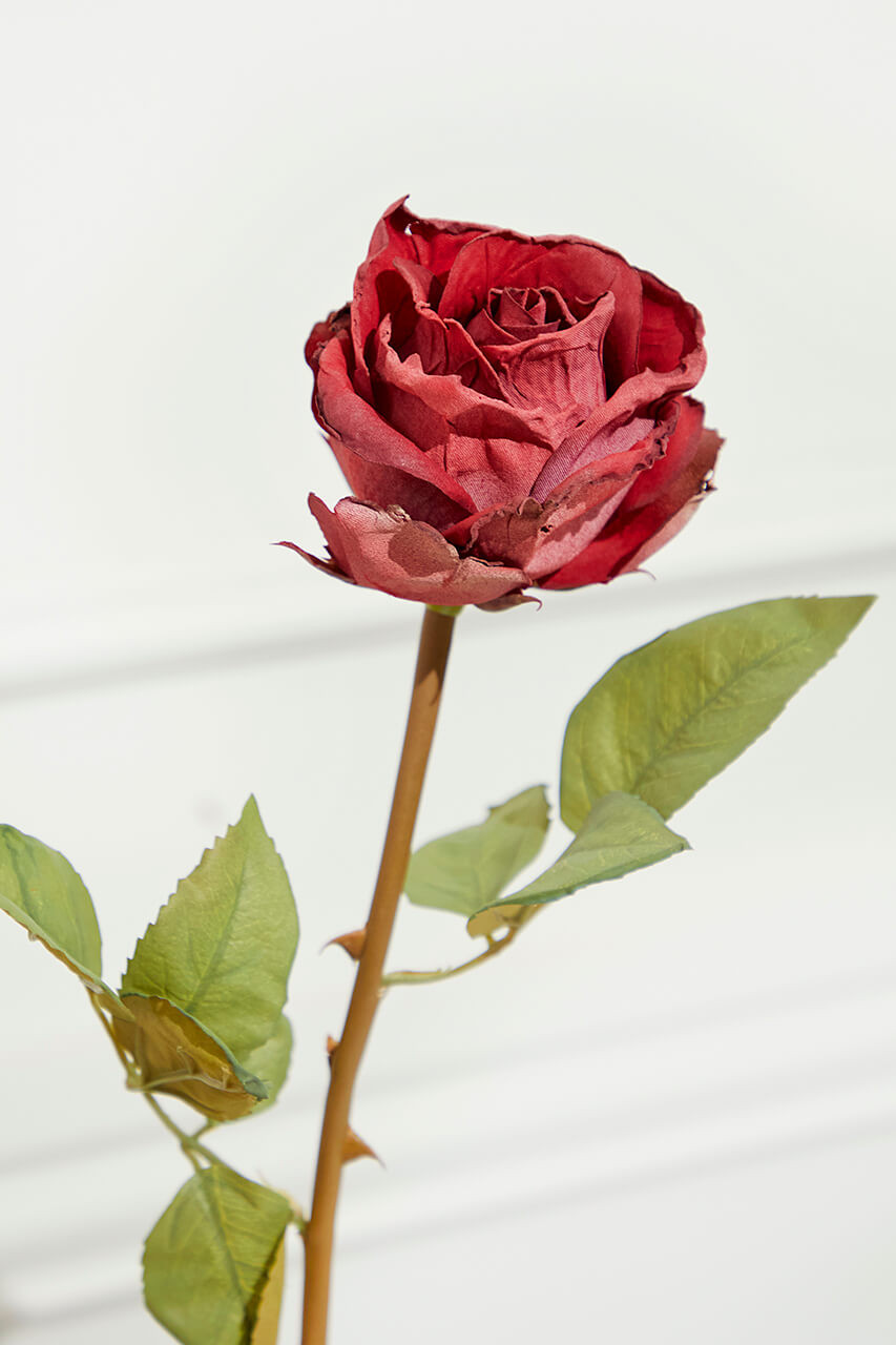 21" Dried Red Rose Stem - Decorator's Warehouse