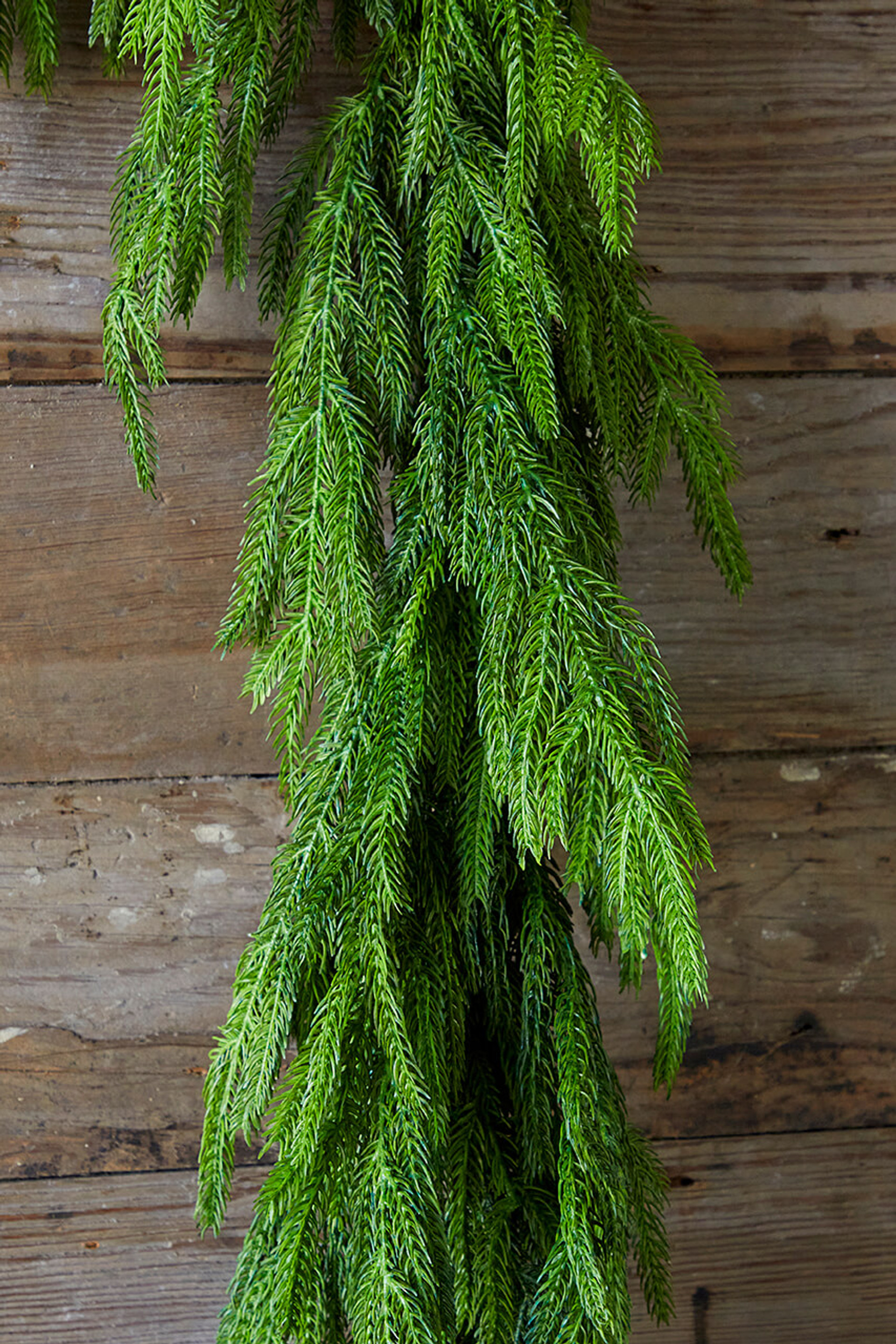 72” Real Touch Norfolk Pine Garland | Decorator's Warehouse 72” Real Touch Norfolk Pine Garland | Decorator's Warehouse