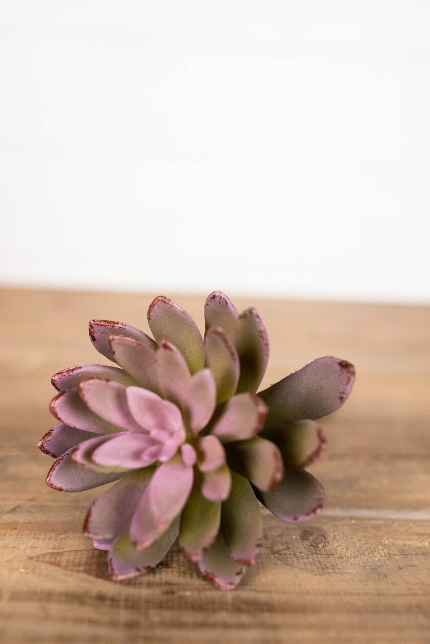 7.5” Artificial Succulent Pick - Dark Green - Decorator's Warehouse