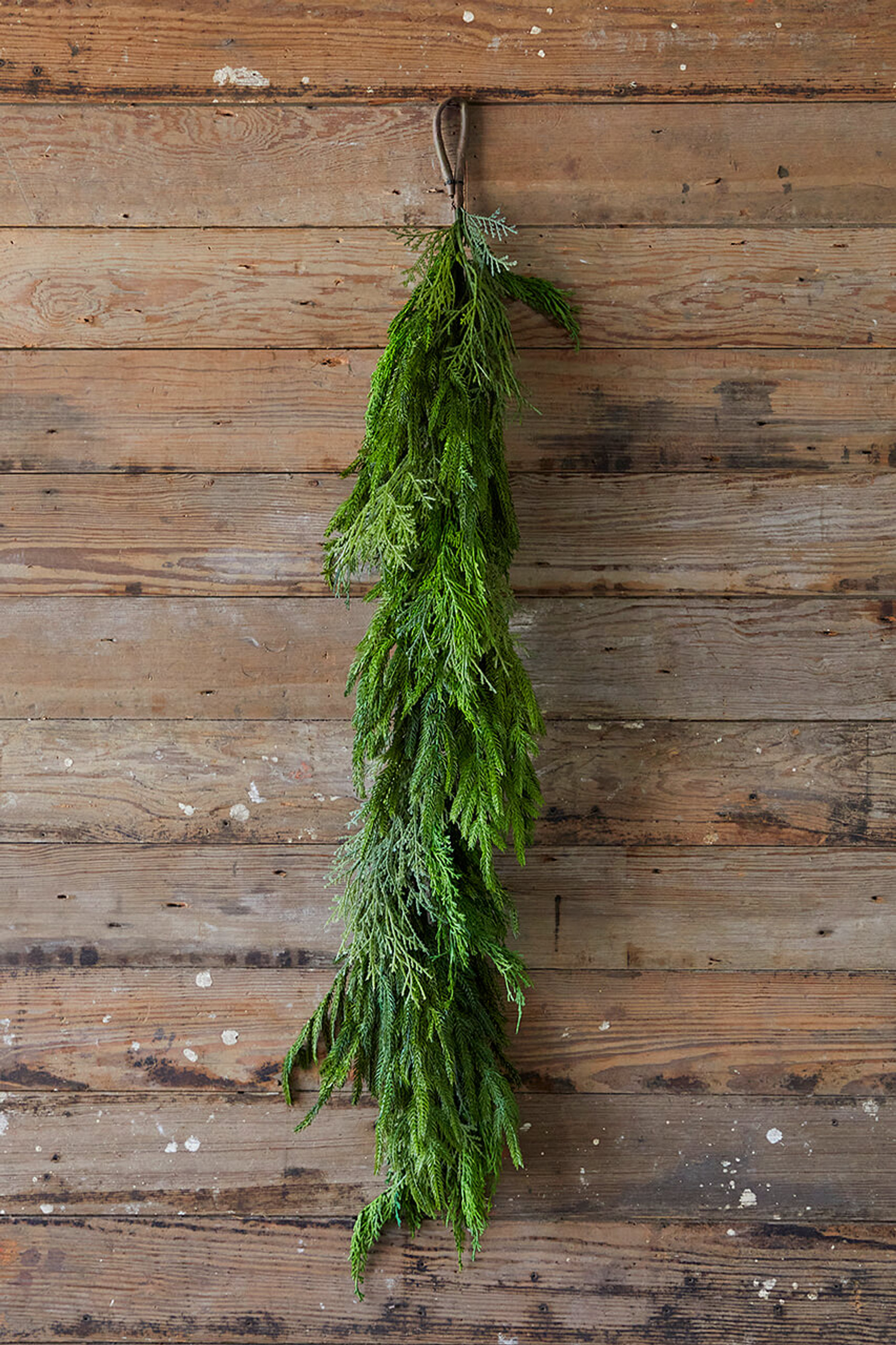 192” Real Touch Norfolk Pine Garland - Decorator's Warehouse 192” Real Touch Norfolk Pine Garland - Decorator's Warehouse