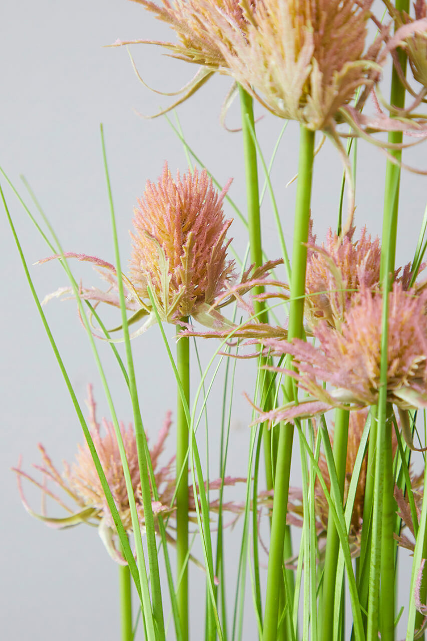 4' Thistle Grass Potted - Decorator's Warehouse