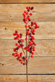 27" WP Berry Spray X 5 - Decorator's Warehouse