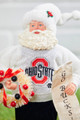 12" Collegiate Team Santa, Ohio State - Decorator's Warehouse